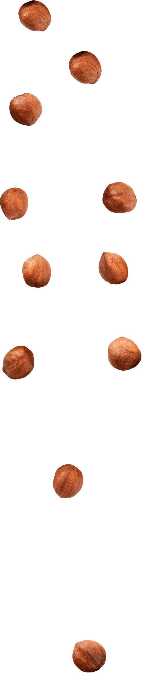 Buy Bulk Hazelnuts Wholesale | The Black Sea Hazelnut Co.