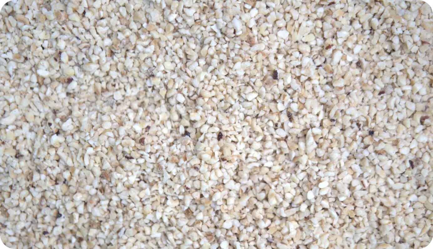 Wholesale Hazelnut Products | Bulk Raw & Roasted Hazelnuts